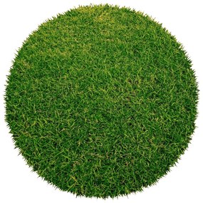Betap koberce Umělá tráva Botanic kruh - 360x360 (průměr) kruh cm