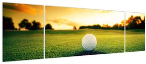 Obraz - Golf (170x50 cm)