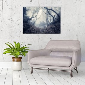 Skleněný obraz - Les v mlze (70x50 cm)