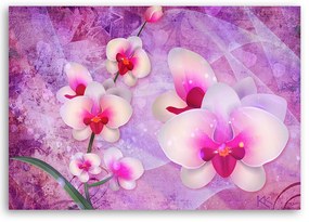 Obraz na plátně, Abstrakce orchidejí - 90x60 cm