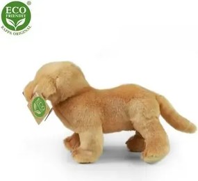 RAPPA Plyšový pes Labrador stojící 20 cm / ECO-FRIENDLY / od 0 měsíců