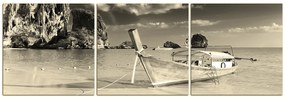 Obraz na plátně - Člun u břehu - panoráma. 5910FB (120x40 cm)