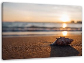 Obraz na plátně Shell Beach Mořský písek - 60x40 cm