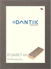 DANTIK rámeček 21x29,7 | ATHINA šedá (Sklo Čiré)
