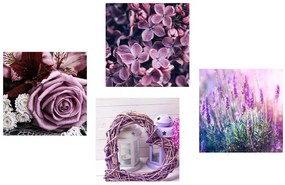 Set obrazů nádherné fialové květiny se srdíčkem