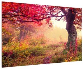 Obraz podzimní lesní krajiny (90x60 cm)