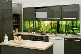 DIMEX | Fototapeta do kuchyně Svěží les KI-260-133 | 260 x 60 cm | zelená, hnědá