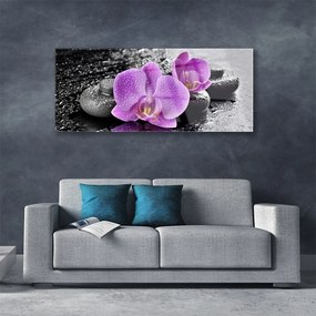 Plexisklo-obraz Orchidej Květiny Kameny Zen 125x50 cm