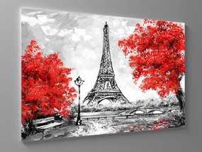 Liox Digitální malba Paříž Rozměr: 150 x 100 cm
