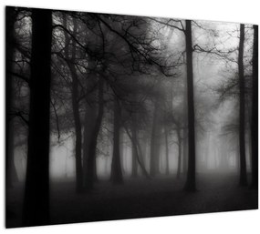 Skleněný obraz - Les v mlze (70x50 cm)