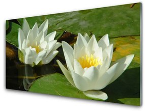 Plexisklo-obraz Květiny Rostliny Příroda 100x50 cm