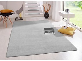 Světle šedý koberec 200x280 cm Fancy – Hanse Home