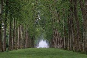 DIMEX | Samolepicí vliesová fototapeta na zeď Park Versailles MA-5-1908 | 375 x 250 cm | zelená, hnědá, šedá