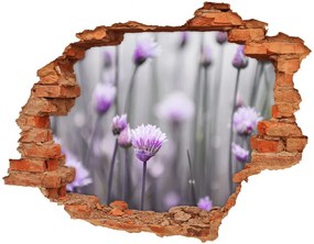 Wallmuralia Samolepící díra nálepka Květy pažitky 90x70 cm