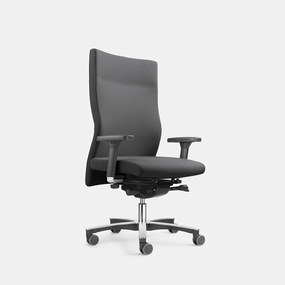 LÖFFLER Zdravotní balanční židle PANAMERO Barva potahu: A31 šedá