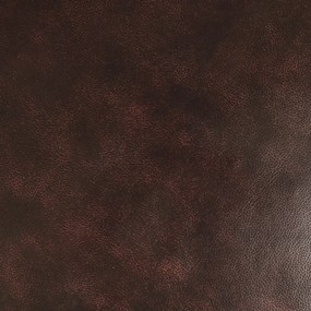 furniture-nabytek.cz - Křeslo Brusel z pravé hovězí kůže
