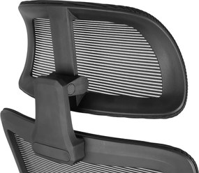 Ergonomická kancelářská židle ERGODO FAGER - černá síťovina / nosnost 150 kg