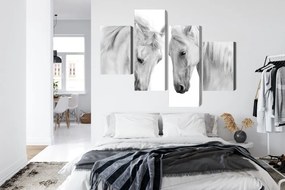 Vícedílný obraz Dva Koně Na Bílém Pozadí Nedostatek Nedostatek Přírodní plátno 80x50
