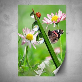 Plakát - Beruška a motýl (80x120 cm) - PopyDesign