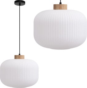 Toolight Toolight, stropní svítidlo ze skla 1xE27, bílá, OSW-04412