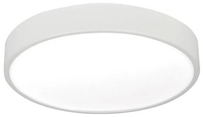 LED Stropní svítidlo LED/12W/230V
