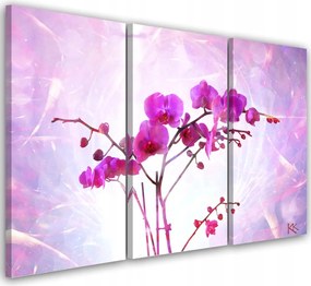 Obraz triptych na plátně, Éterická orchidej 60x40