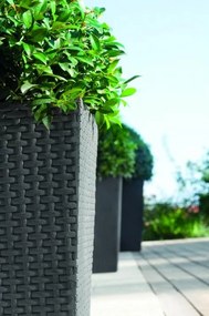 KETER - květináč Rattan Planter M, hnědý