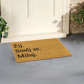 Rohožka z přírodního kokosového vlákna Artsy Doormats Žij a miluj, 40 x 60 cm