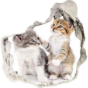 Wallmuralia Díra 3D fototapeta nálepka Dvě malé kočky 75x75 cm