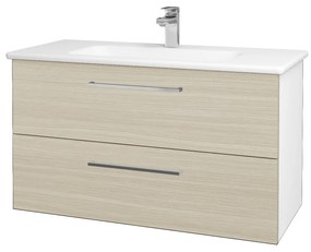 Dřevojas Koupelnová skříň GIO SZZ2 100 Varianta: N01 Bílá lesk / Úchytka T06 / D01 Beton