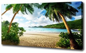 Wallmuralia Foto obraz na plátně Palmy na pláži 100x50