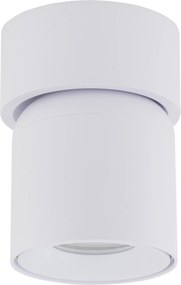 TK Lighting Bílé stropní/nástěnné svítidlo Twist pro žárovku GU10 TK10576