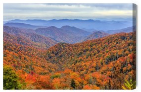 Obraz Podzimní Les V Horách Nedostatek Nedostatek Plátno Canvas 70x50