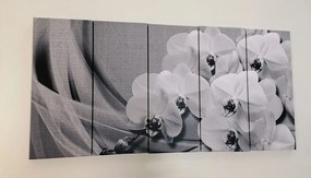 5-dílný obraz orchidej na plátně v černobílém provedení Varianta: 200x100