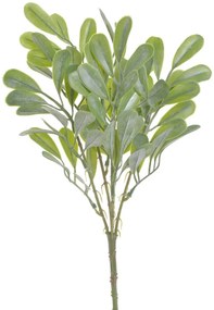 trs listů - zelená světlejší