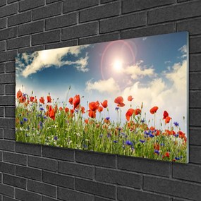 Obraz na skle Louka Květiny Slunce Příroda 140x70 cm