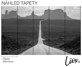 Liox Tapeta cesta do Monument Valley