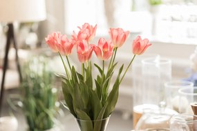 Tulipán silk-ka - růžový - 69 cm