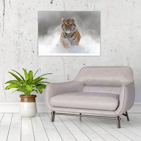 Skleněný obraz běžícího tygra ve sněhu (70x50 cm)