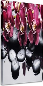 Vertikální Obraz Bordové Orchideje 60x120