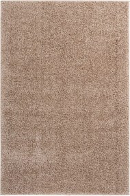 160x230 Kusový koberec Emilia 250 taupe