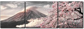Obraz na plátně - Hora Fuji a třešňové květiny na jaře- panoráma 5266QC (90x30 cm)