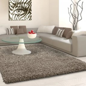 Vopi | Kusový koberec Life Shaggy 1500 taupe - 120 x 170 cm