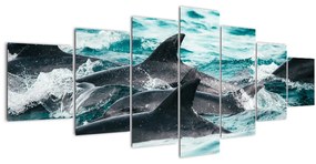 Obraz - Delfíni v oceáně (210x100 cm)