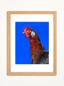 Radka Korandová | Zrození by Anna Baum 1 Rám: Černý, Velikost: 30 x 20 cm