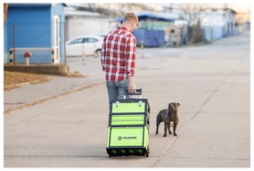 Fieldmann FDN 4150 Kovový box na nářadí 3 dílná konstrukce, Rozměry: 520 x 320 x 721 mm, Teleskopické madlo a kolečka, .