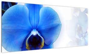 Obraz s orchidejí (100x40cm)