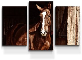 Sablio Obraz - 3-dílný Kůň ve stáji - 75x50 cm
