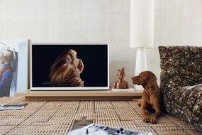 Přírodní hnědý jutový koberec Original jute - 250*350 cm