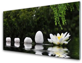 akrylový obraz Kameny Květ Umění 140x70 cm
